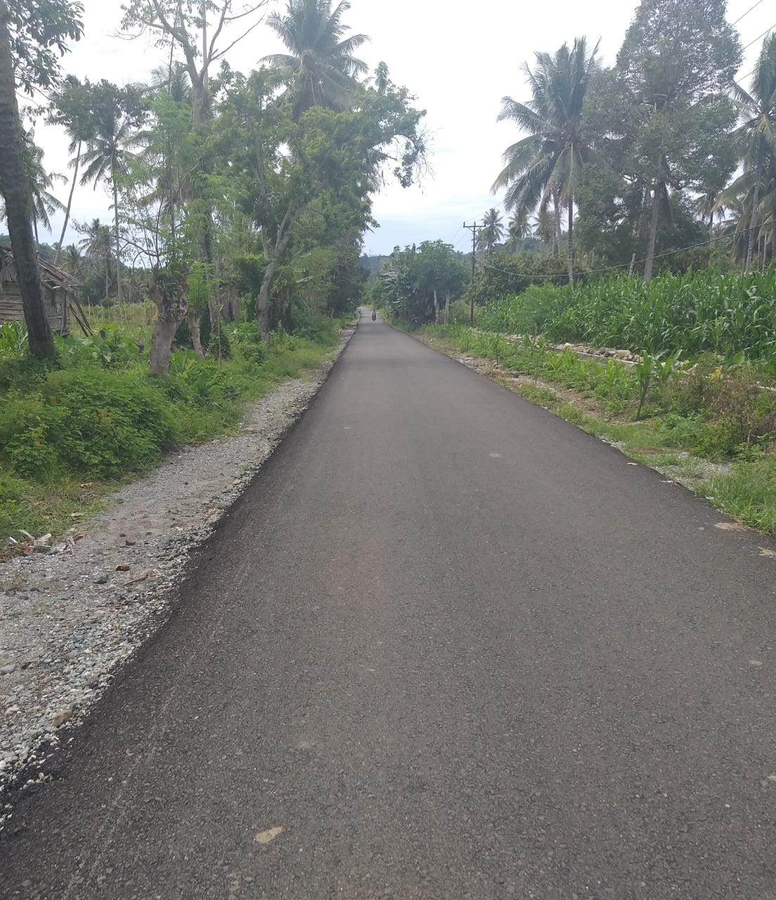 Setelah Diaspal, Jarak Tempuh Toaya - Taripa Hanya 5 Menit - Ctzen